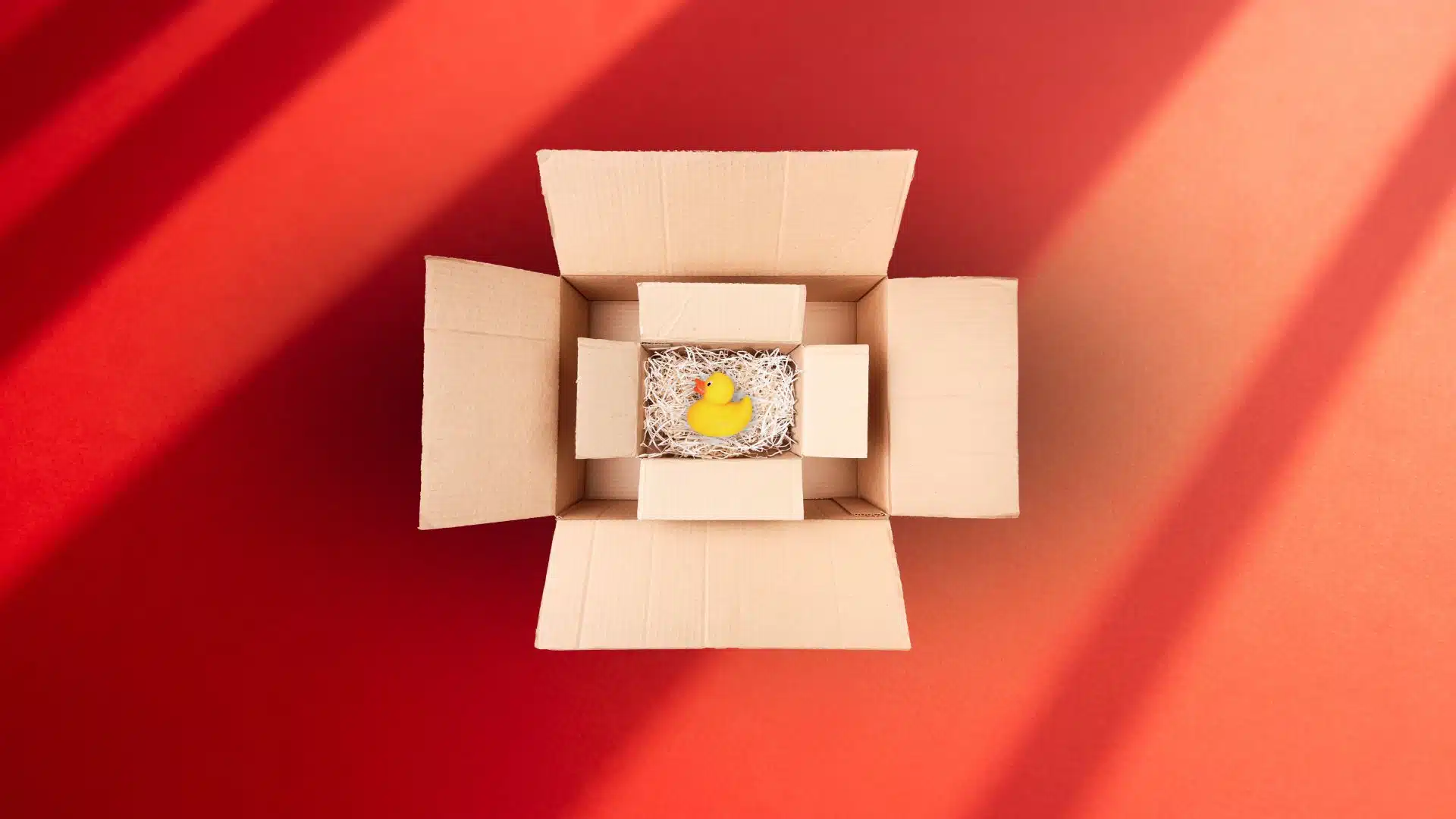 L’importanza di ridurre l’overpackaging - Euroscatola